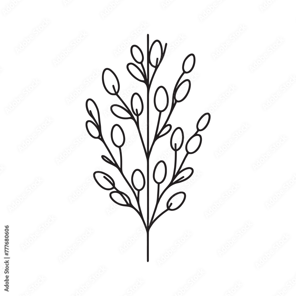 Willow plant drawing concept with one line. Continuous line drawing ...