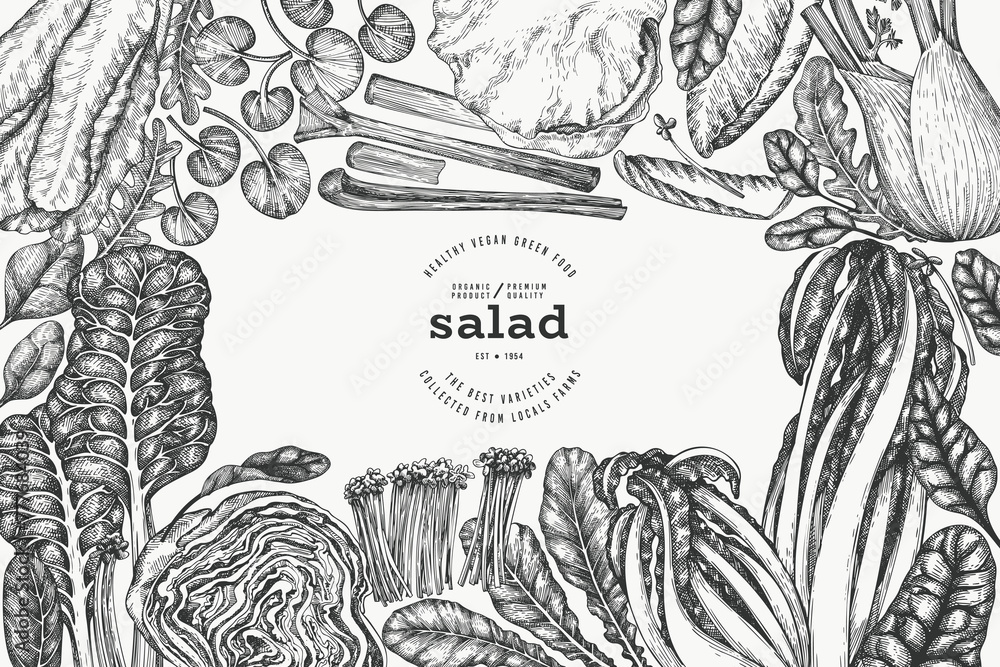 Green Vegetable Design Template. Vector Hand Drawn Healthy Leaf Salad ...