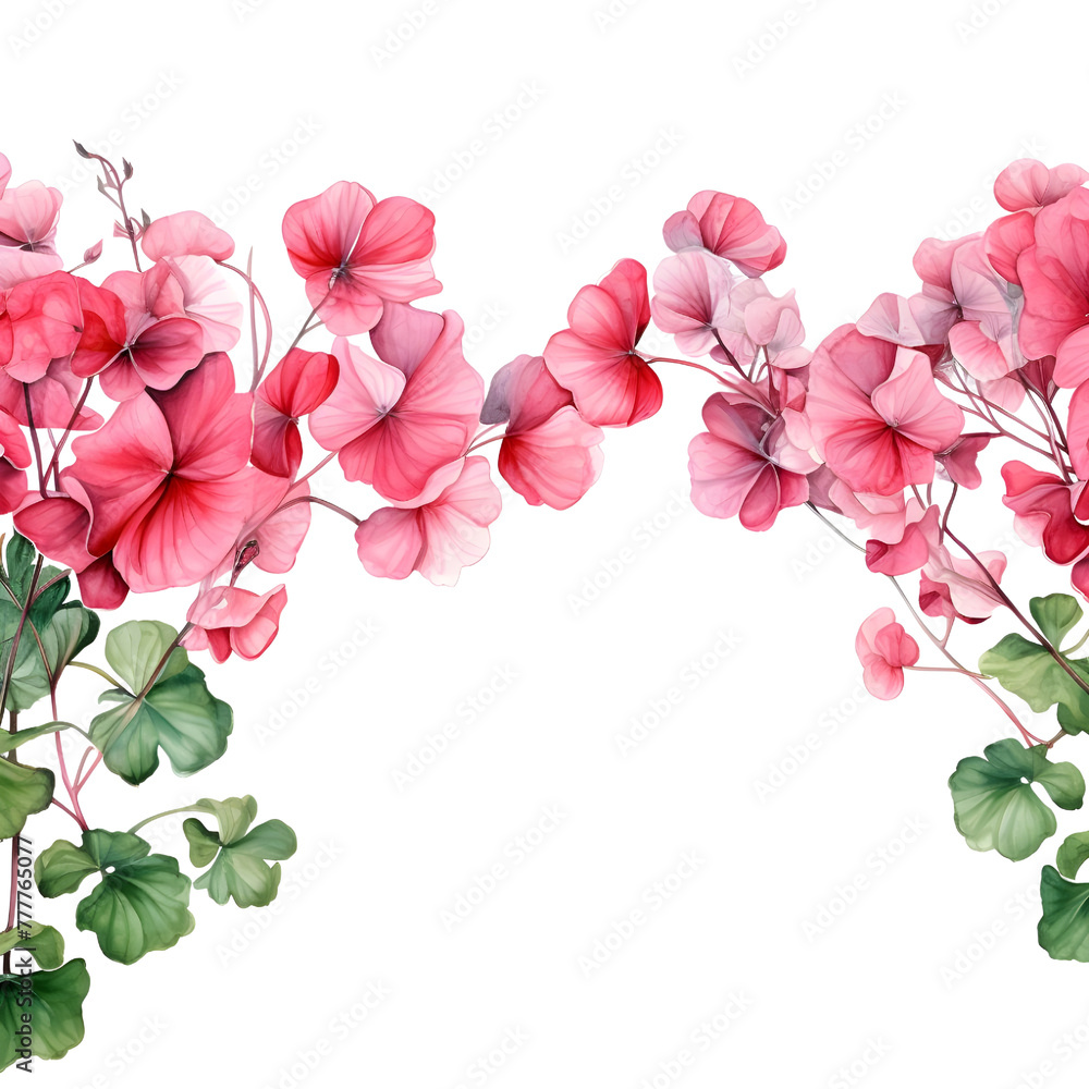 Ivy geranium leaves border. Watercolor botanical banner for the design ...