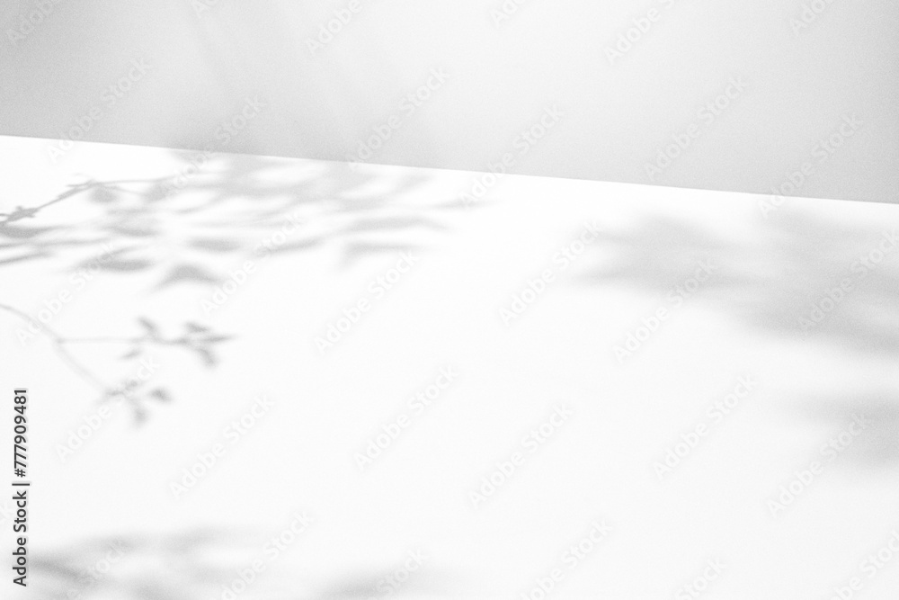 Light background with harsh shadows of tree branch. Aesthetic white ...