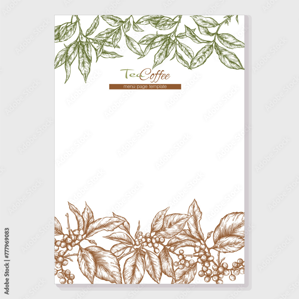 Green tea branch with leaves Coffee tree. Branch with leaves and ...