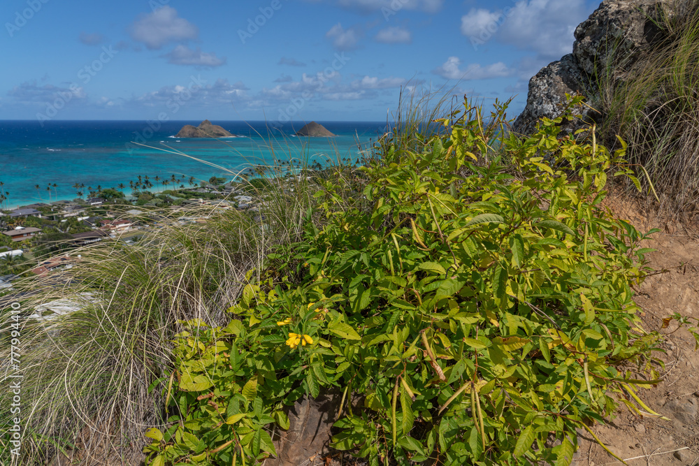 Ka'iwa Ridge (Lanikai Pillbox) Trail, Kailua Oahu Honolulu Hawaii ...