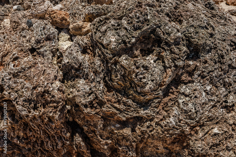 Shark’s Cove North Shore Oahu Hawaii. reef deposits. Snorkeling ...