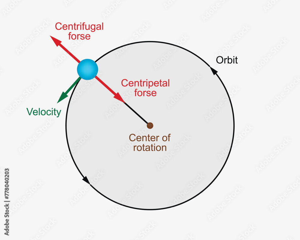 Centripetal and Centrifugal Force on the white background. Education ...