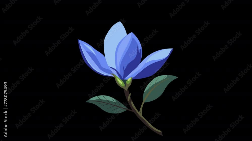 Blooming bud of blue magnolia. Animation of a 2D object. Animated ...