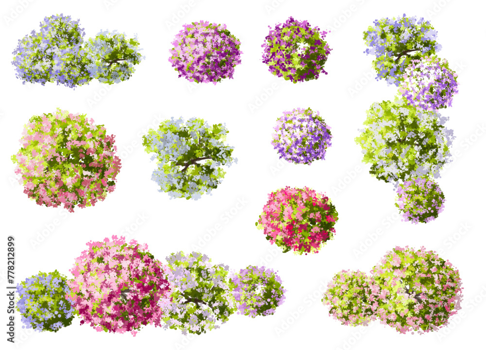 Vector of flower grass or blooming shrub site view isolated on white ...