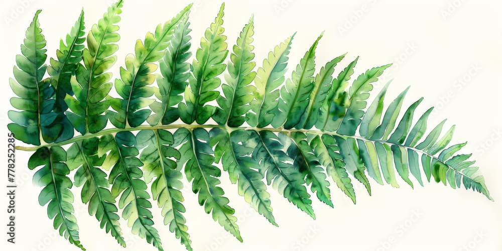 Watercolor clipart of a single, verdant fern spore, isolate on white ...