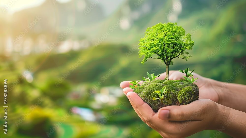 Nurturing Nature: Human Hands Holding a Lush Green Tree . Human hands ...