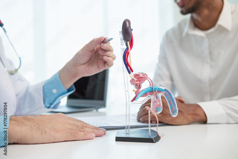 Doctors are counseling prostate cancer patients and using model of the ...