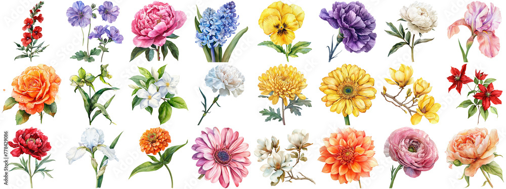 Watercolor flower set isolated background. Various floral collection of ...