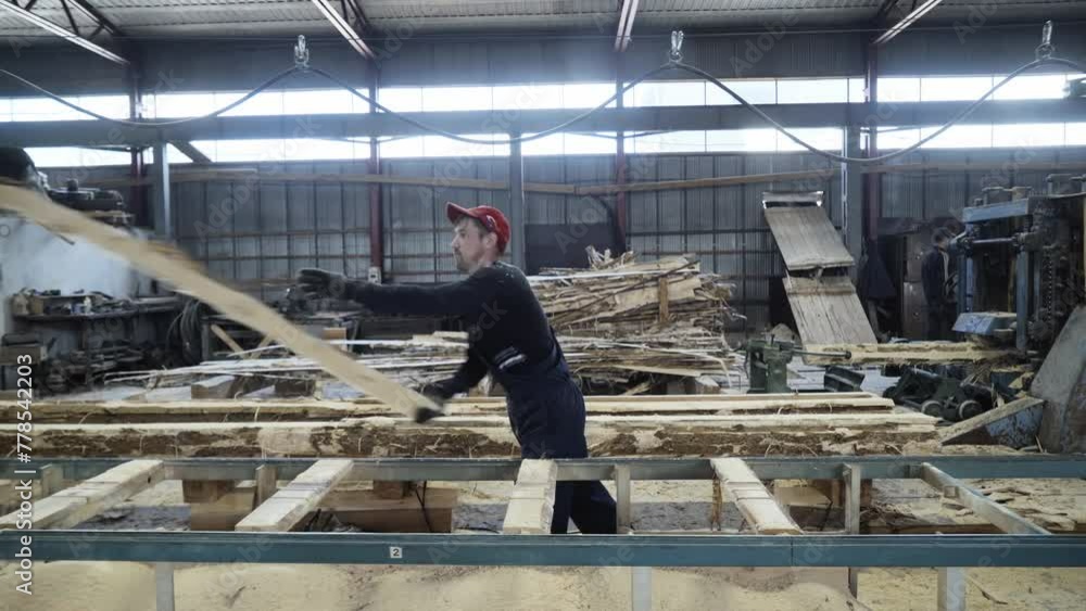 Two Wood Workers At An Industrial Plank Production. Male Worker Busy In ...