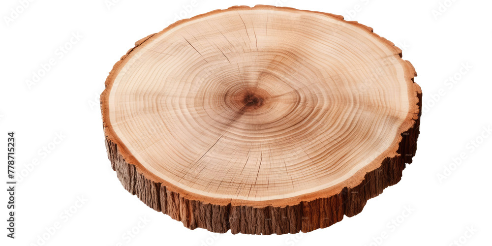Round wooden tree slice trunk stump wood on transparent background ...