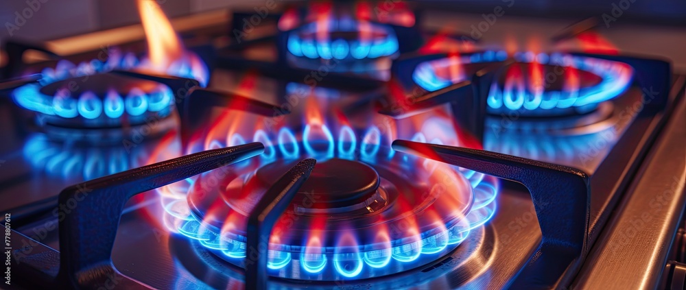 Get up close and personal with a gas cooker, its blue flame ...