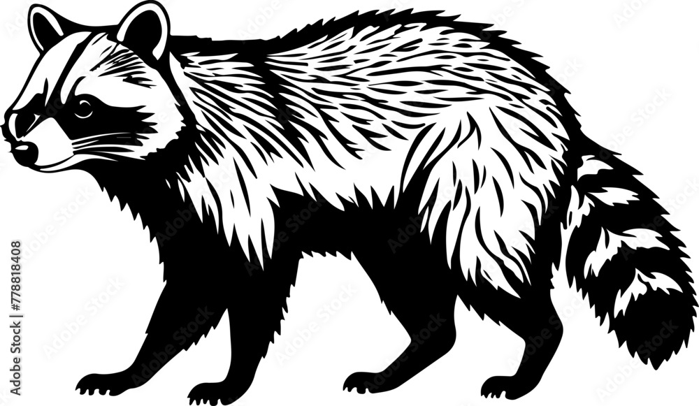 Raccoon SVG, Raccoon Face SVG, Raccoon Silhouette SVG, Raccoon Clipart ...