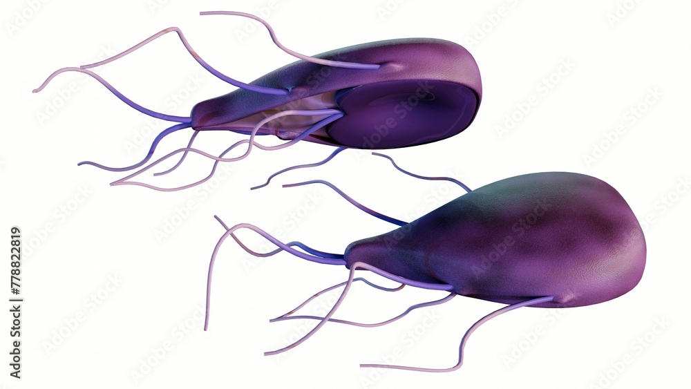 3d rendering of Giardia, is a microscopic parasite that lives in the ...
