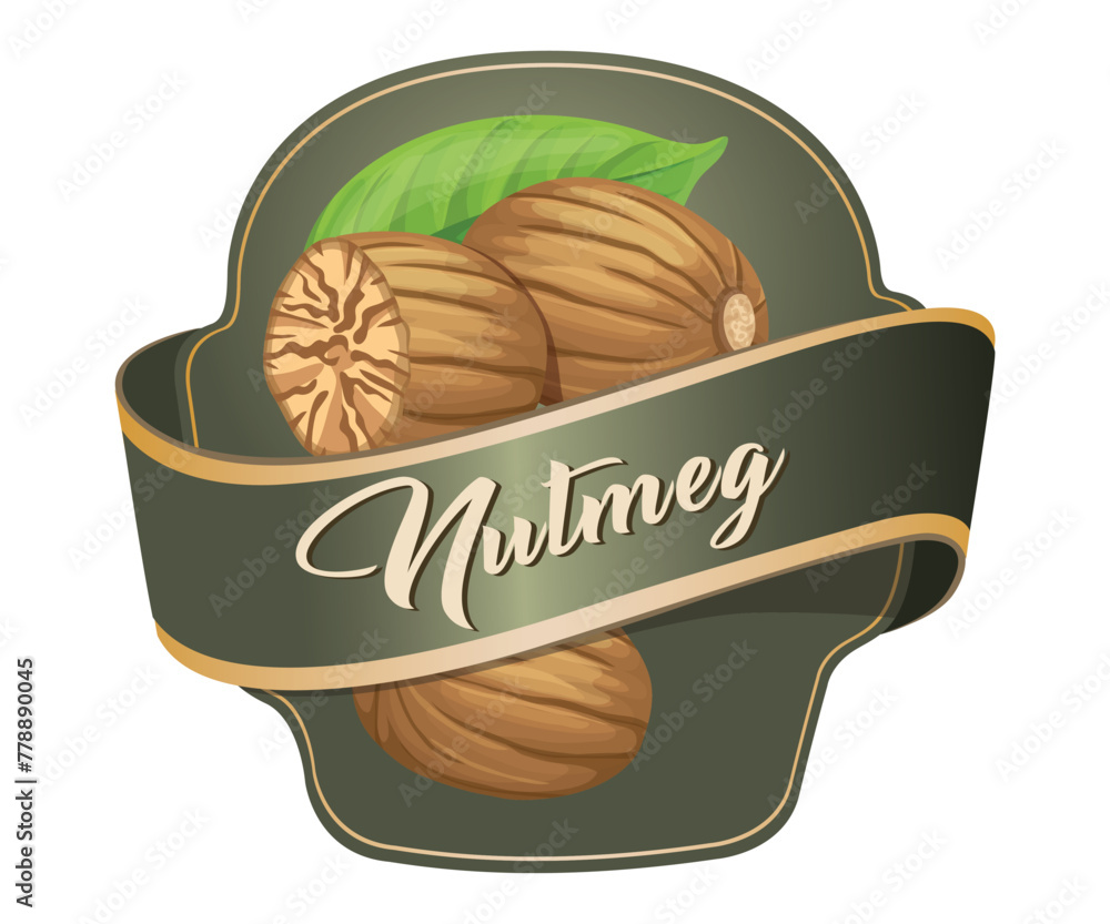 Nutmeg vector sticker isolated on white background Stock Vector | Adobe ...