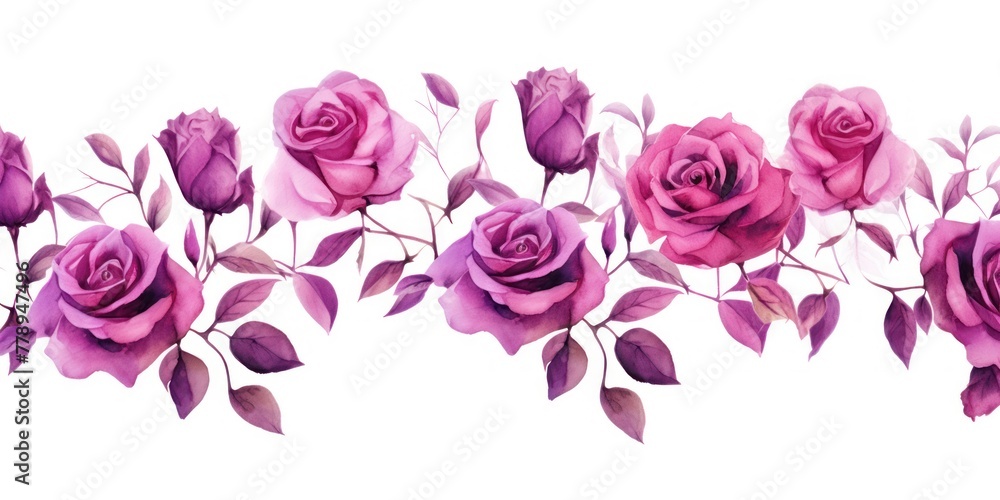 Magenta roses watercolor clipart on white background, defined edges ...