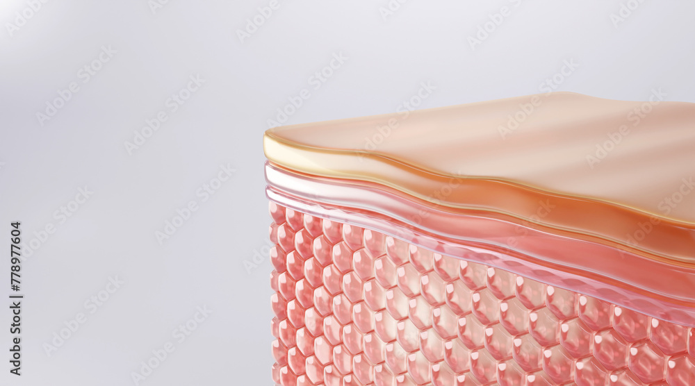 skin cell. serum molecules through the skin layer and reduce up saggy ...