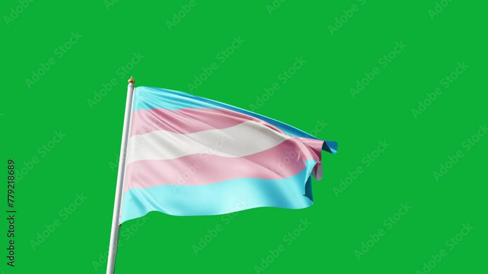 transgender flag on a green screen, waving in the wind, trans flag with ...