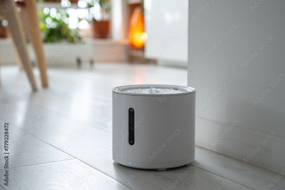 Automatic electric pet water dispenser. Modern smart cat and small dog ...