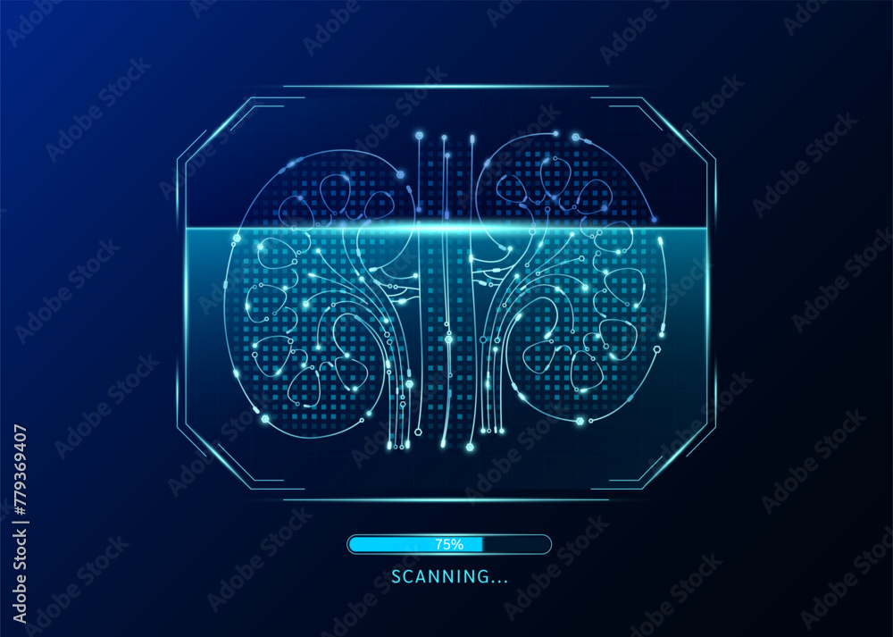 Kidney scanning radar screen. Medical technology health care. Digital ...