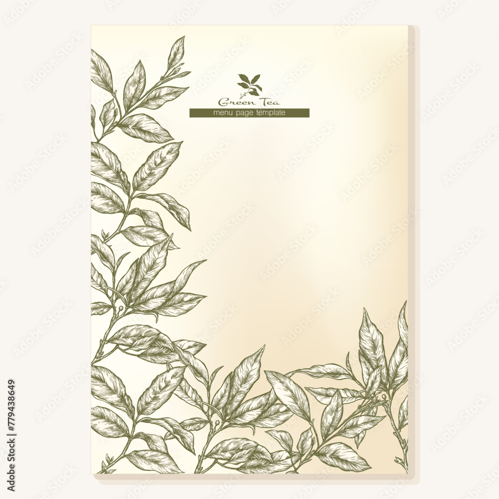 Green tea branch with leaves Border, frame, template for menu page ...