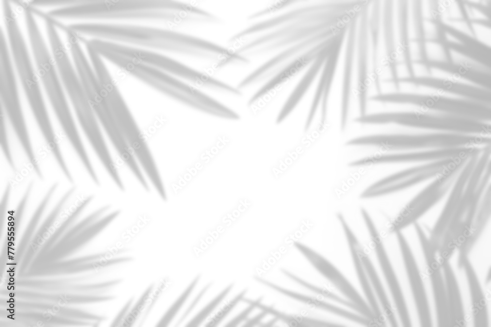 palm leaf shadow overlay effect, transparent background with tropical ...