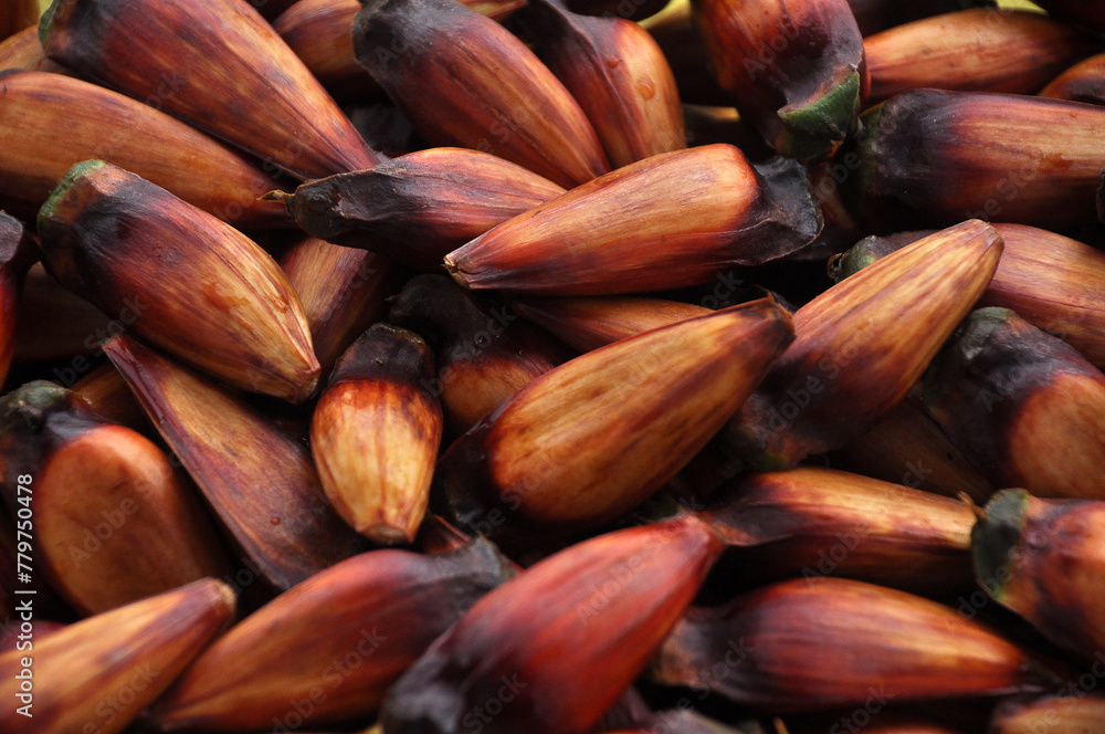 pinhão vem de uma árvore típica do Sul do país. A pinha é, na realidade ...