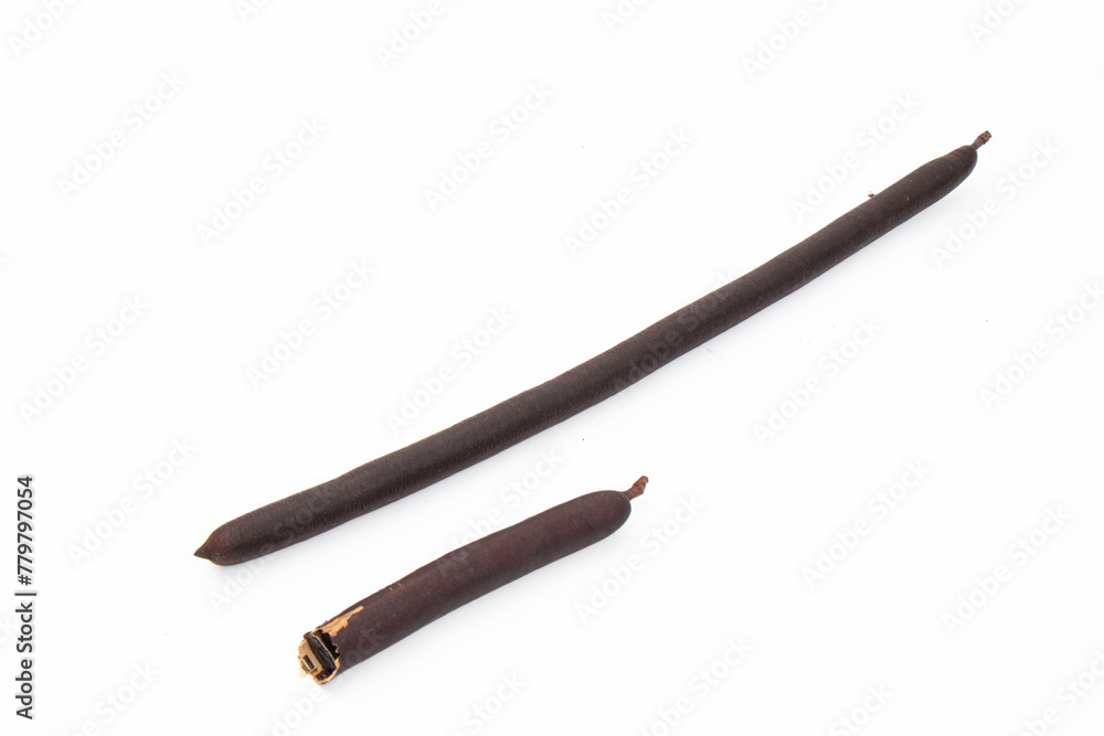 Thai herb - fruit of golden shower or cassia pods on white background ...