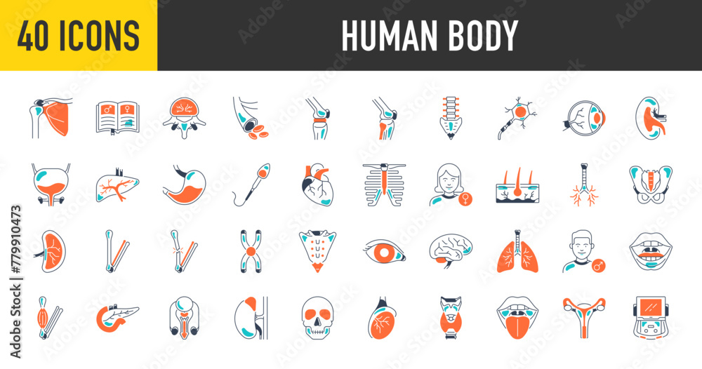 Human body parts and organs icons set. Such as shoulder, liver, heart ...