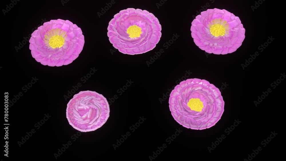 The blooming flowers as 3d modeling procedural geometric animation on ...