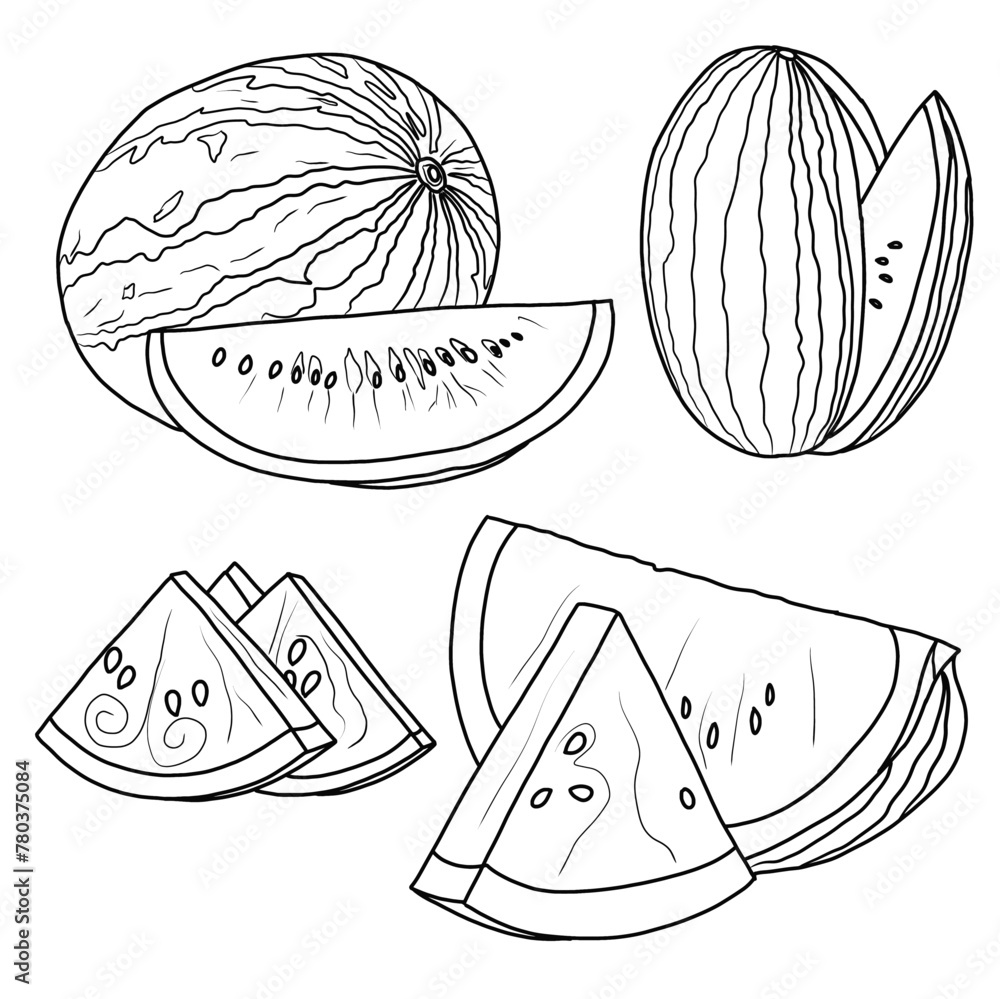 Vector drawing Illustration Hand drawn ink sketch of Watermelon fruit ...