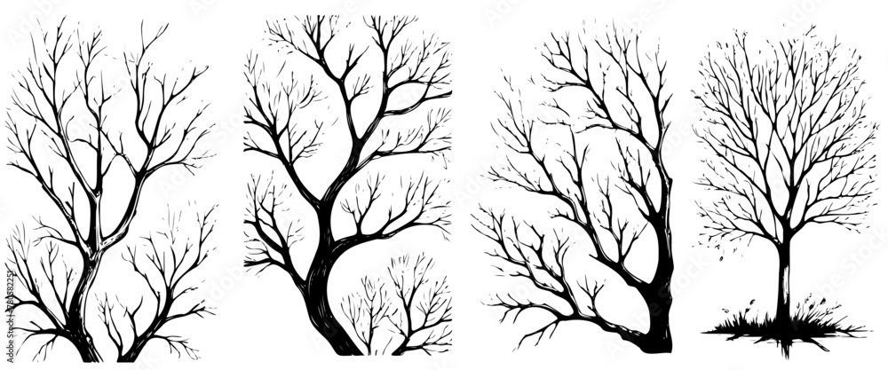 Four black and white images of trees with no leaves. The trees are all ...