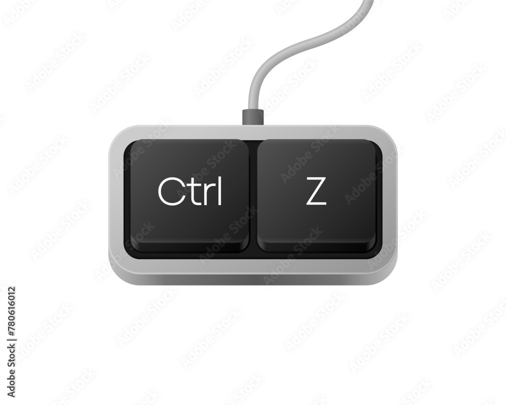 Ctrl Z or Copy Paste button combination. Computer Keyboard. Word on pc computer keyboard. Vector ...