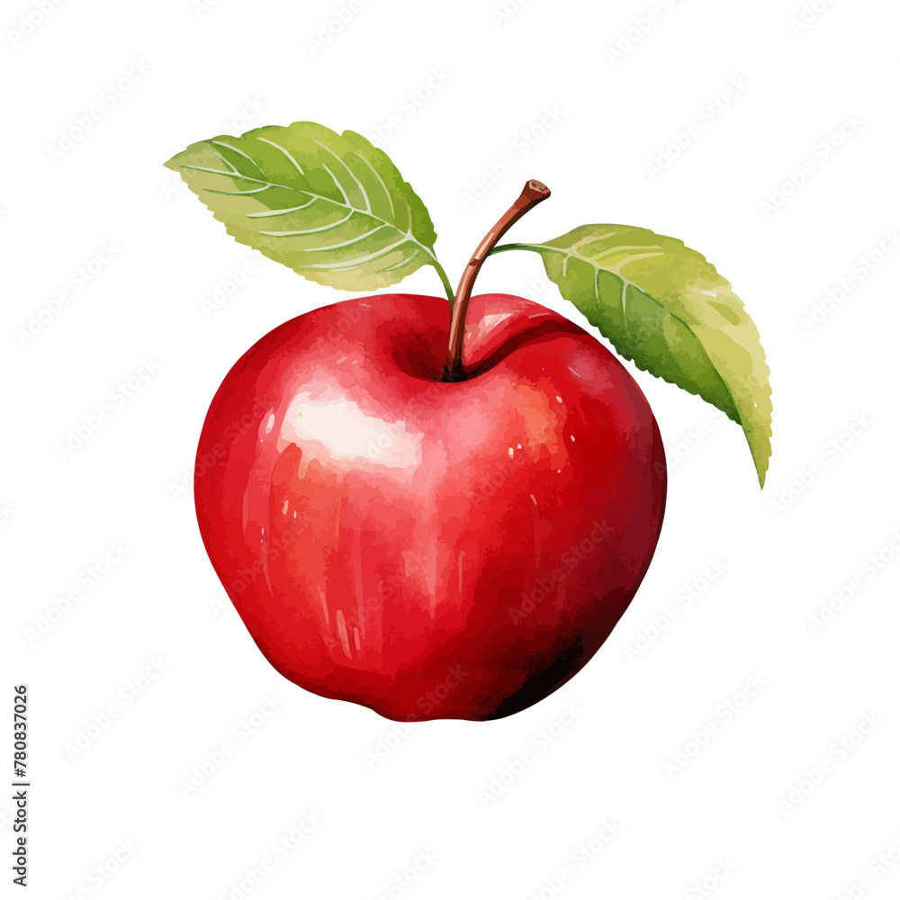 watercolor apple clipart for graphic resources Stock Vector | Adobe Stock