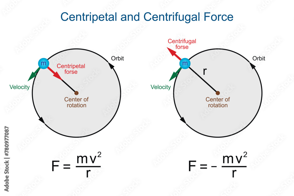 Centripetal and Centrifugal Force on the white background. Education ...