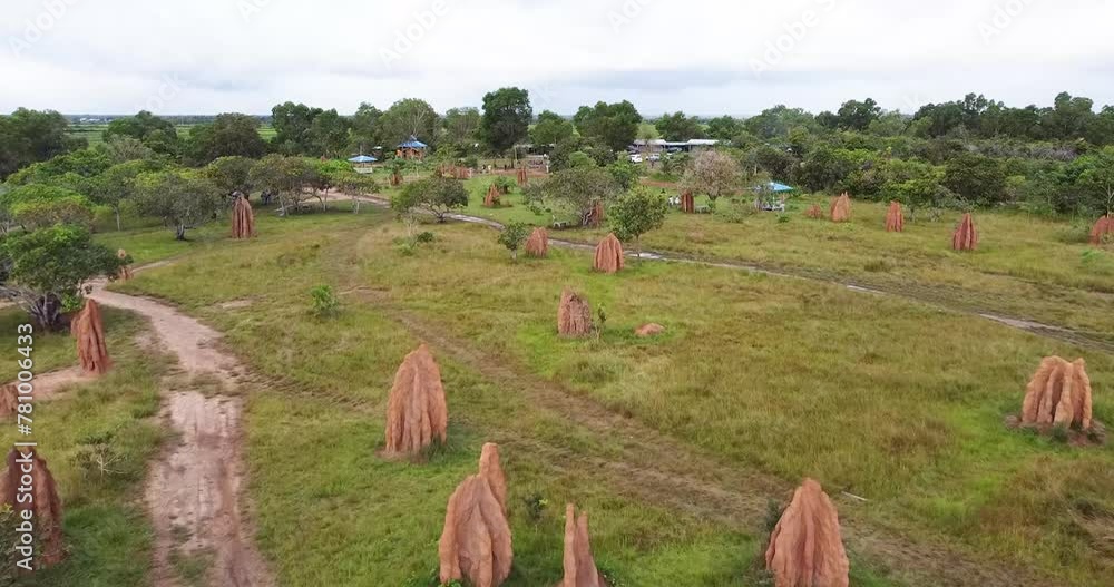Vidéo Stock 1000 musamus, rows of ant palaces are the icon of the city ...