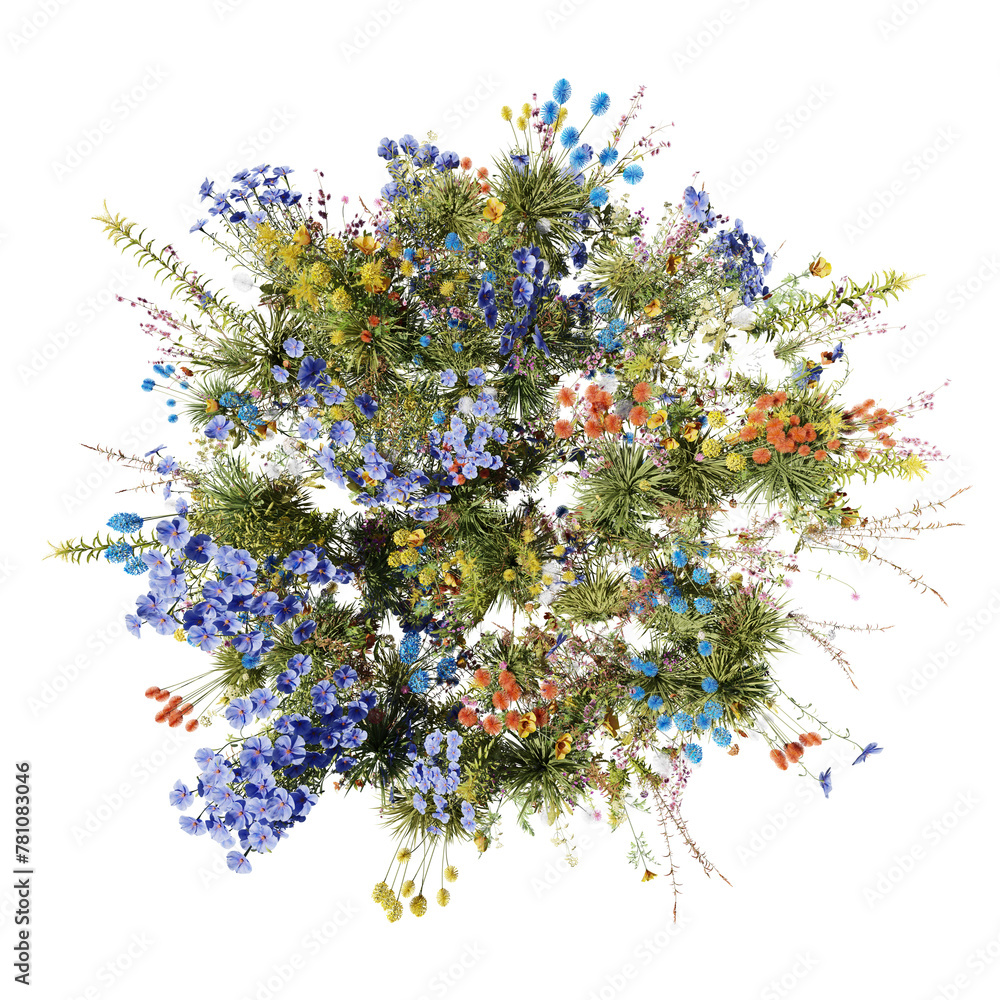 Top view, Evergreen colorful flowers and grass field in nature with ...