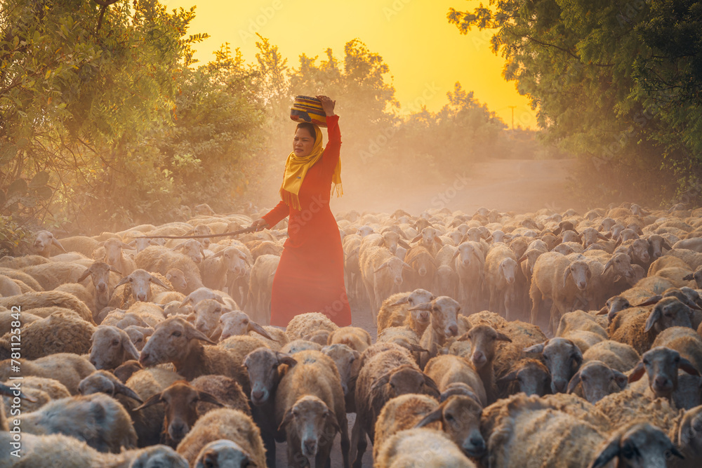 A local woman and a large sheep flock returning to the barn in the ...