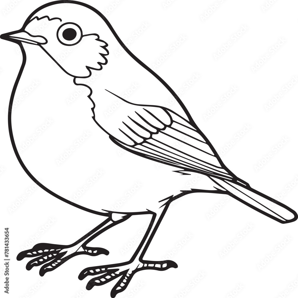 Robin coloring pages. Robin bird outline pages for coloring book Stock ...