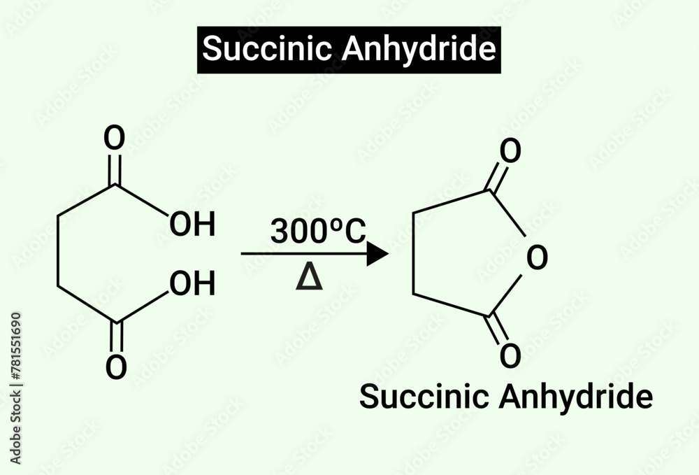 Chemical structure of Succinic Anhydride Stock Vector | Adobe Stock