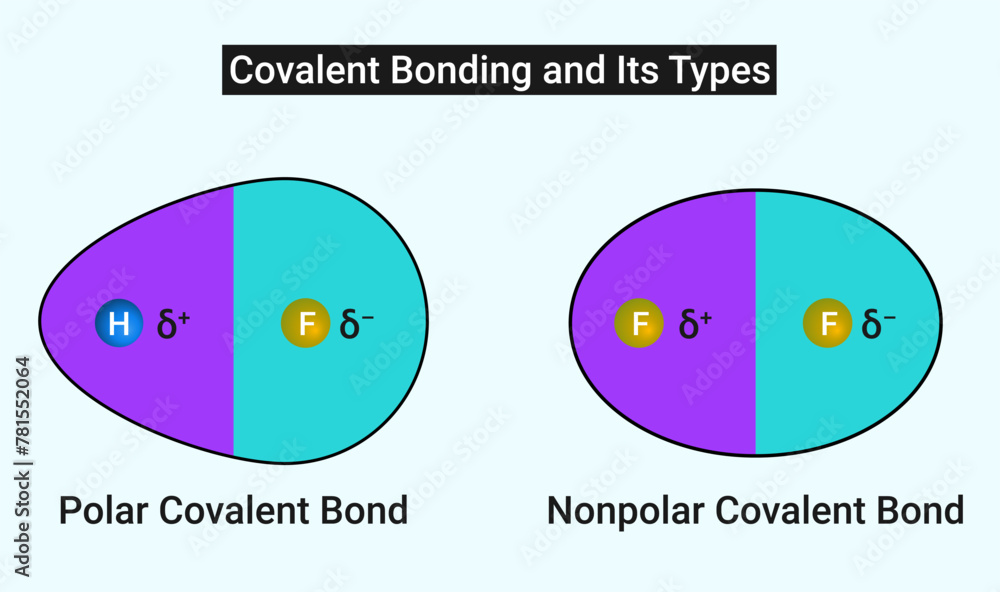 Vecteur Stock Covalent Bonding and Its Types (Polar Covalent Bond and ...