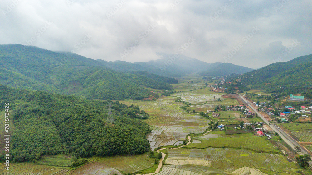 Rice field aerial shot at north east of India. Aerial views of ...