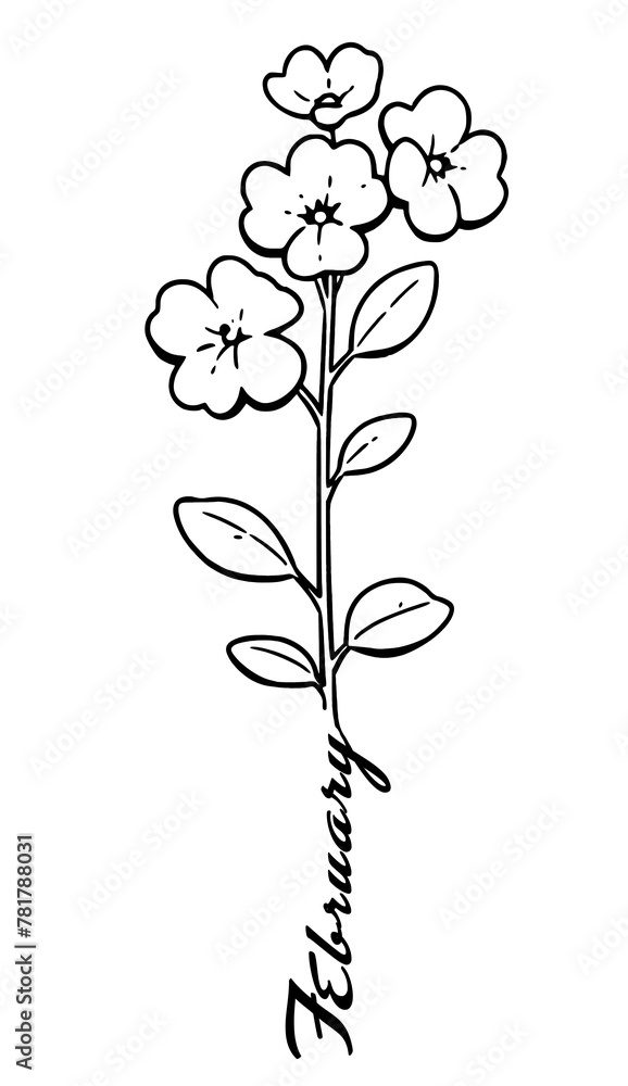 February Birth Month Flowers. Iris outlines isolated on white. Primrose ...