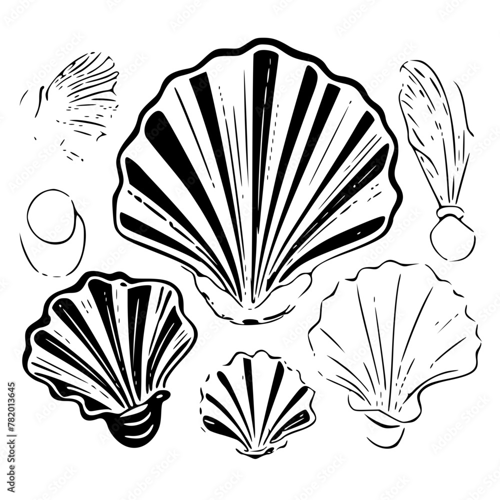 Seashells svg, Seashell svg file, Ocean svg, Marine, Clipart, Seashell ...