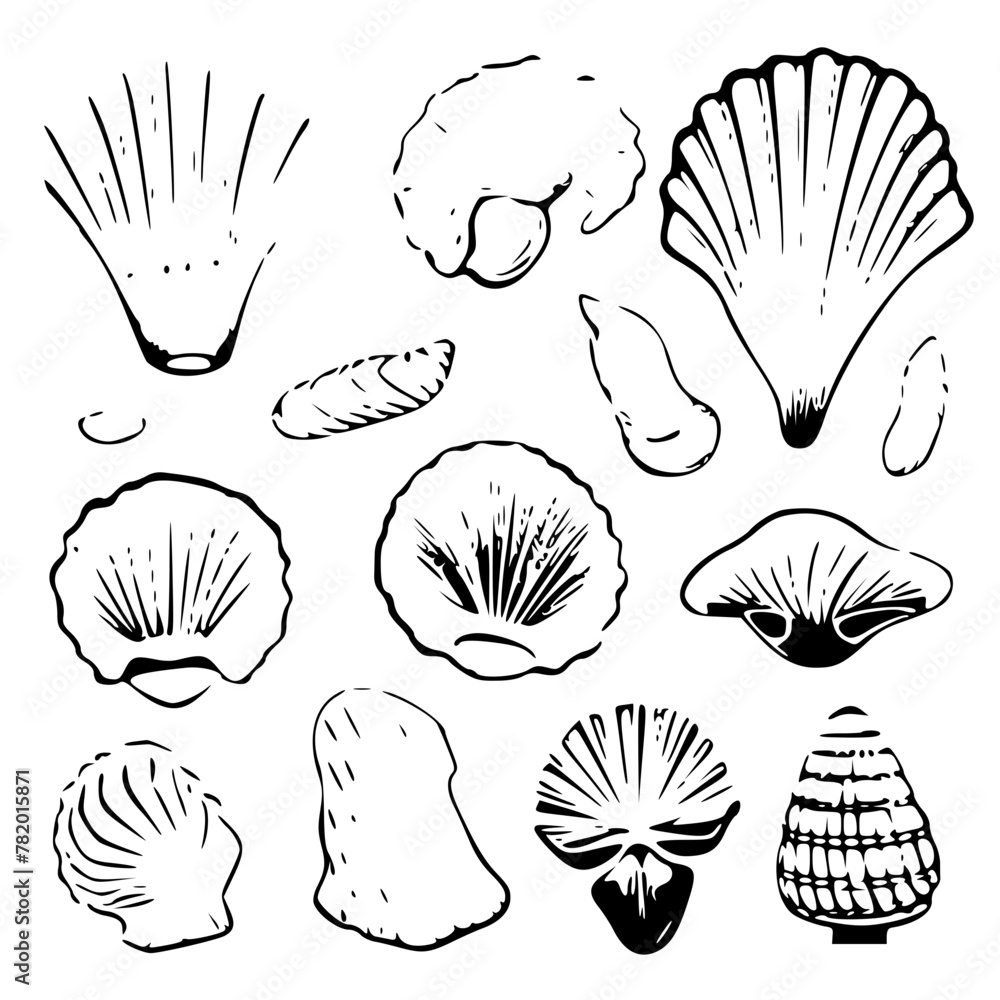 Seashells svg, Seashell svg file, Ocean svg, Marine, Clipart, Seashell ...