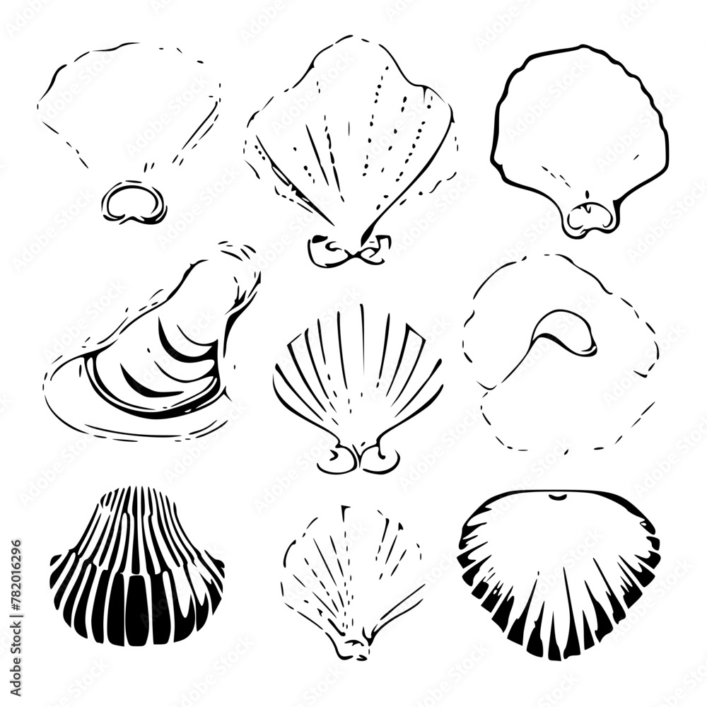 Seashells svg, Seashell svg file, Ocean svg, Marine, Clipart, Seashell ...