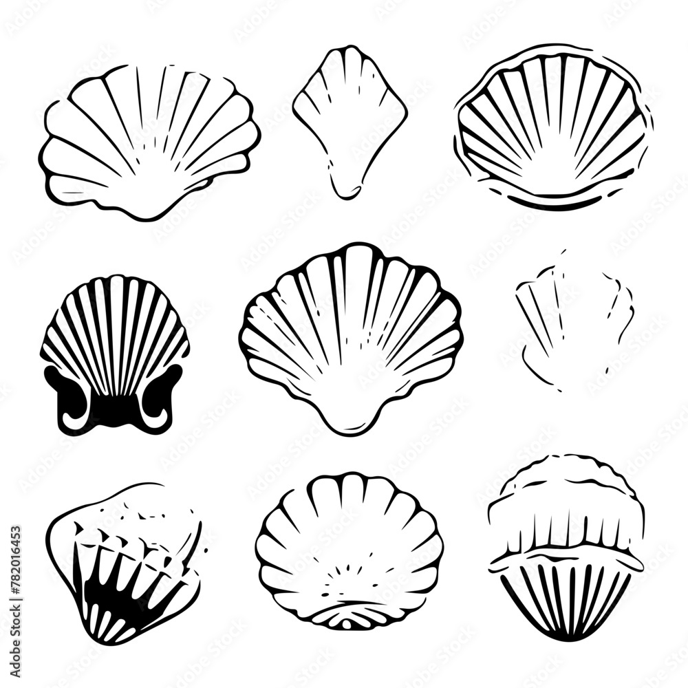 Seashells svg, Seashell svg file, Ocean svg, Marine, Clipart, Seashell ...