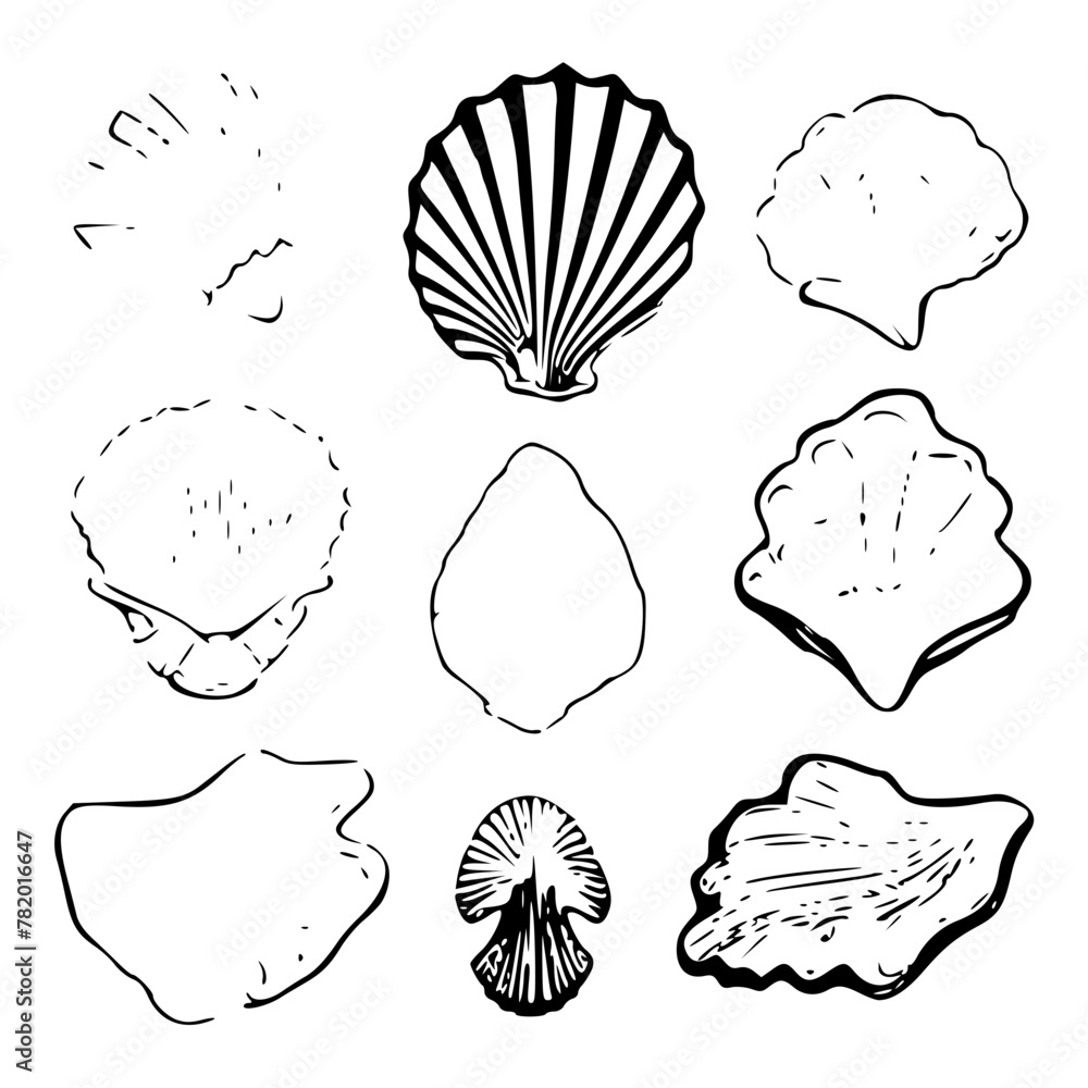 Vetor de Seashells svg, Seashell svg file, Ocean svg, Marine, Clipart ...