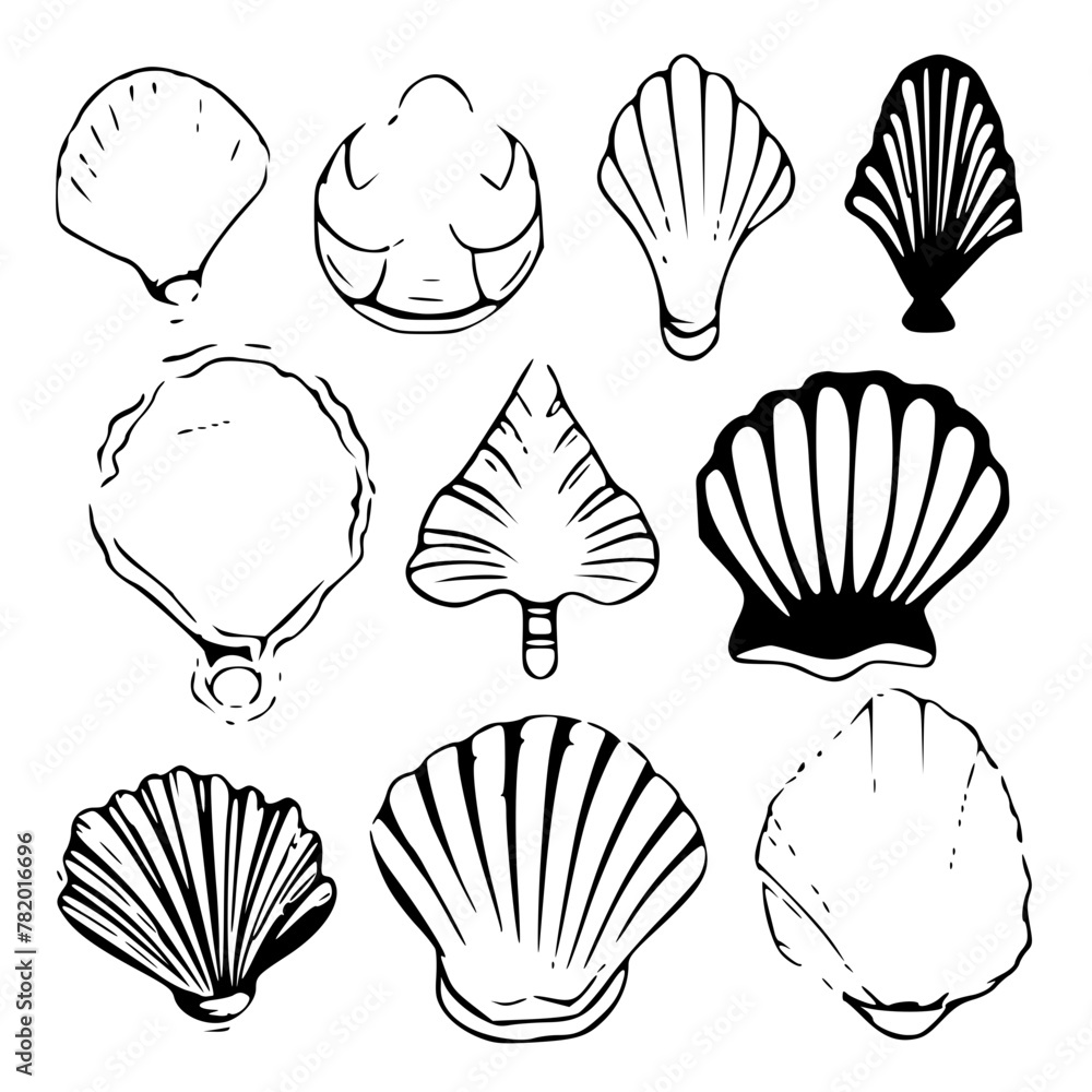 Seashells svg, Seashell svg file, Ocean svg, Marine, Clipart, Seashell ...
